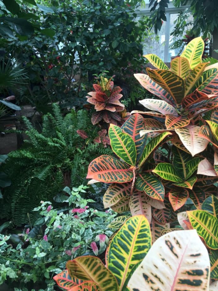Out and About in Rochester | Admissions Blog