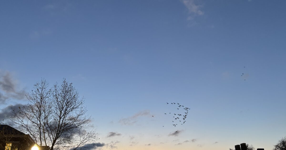 What Does Global Campus Mean at the University of Rochester ...